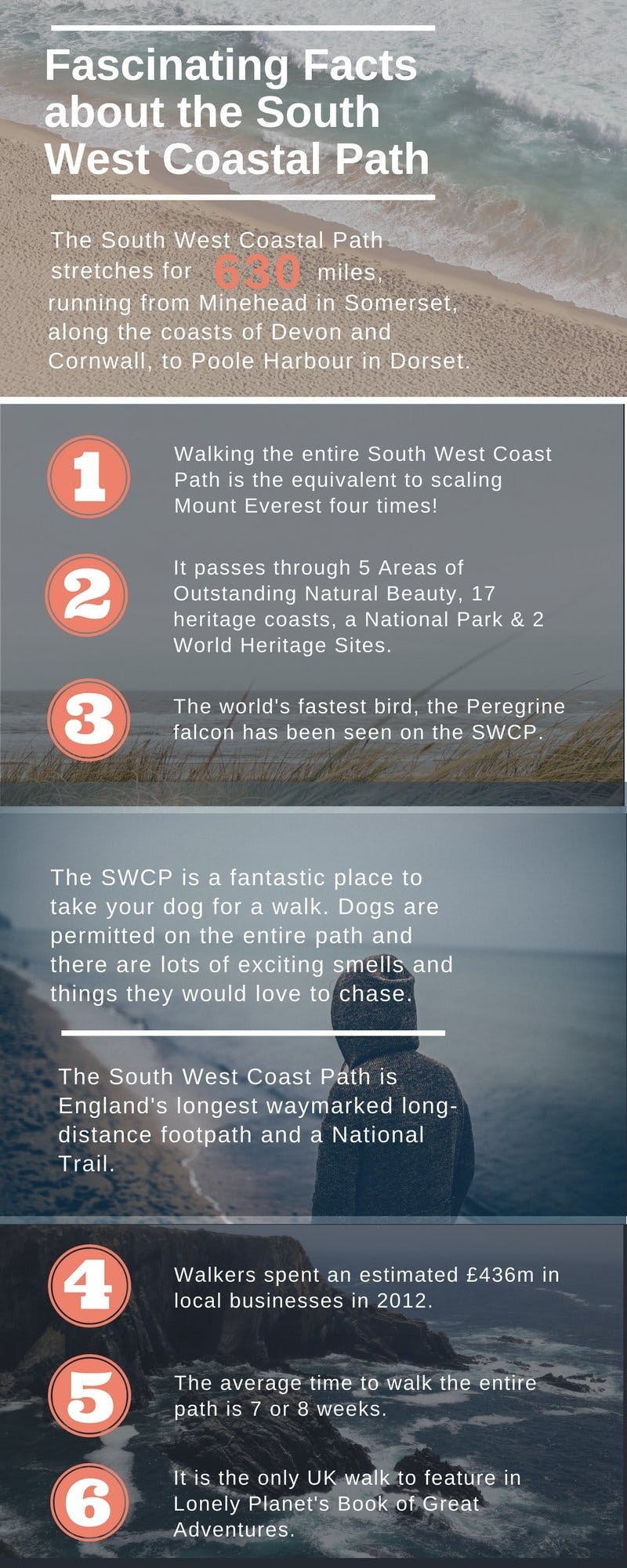 Infographics | Devon & Cornwall Holiday Parks | John Fowler