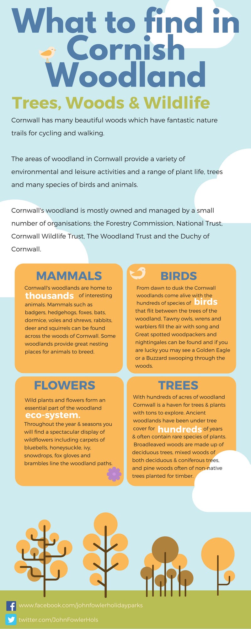 Infographics | Devon & Cornwall Holiday Parks | John Fowler